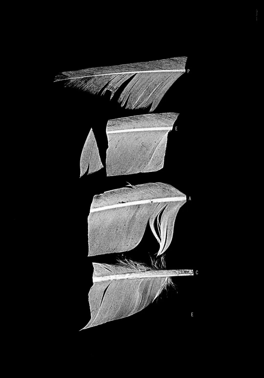 History Illuminates the Future | 2025 Nanjing International Biennial of ...